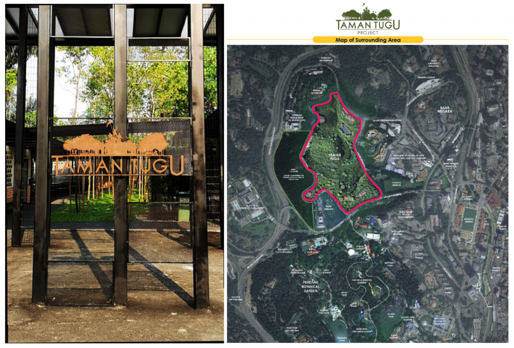 Ireka | Kuala Lumpur’s Green Jewel – Taman Tugu Urban Forest Park